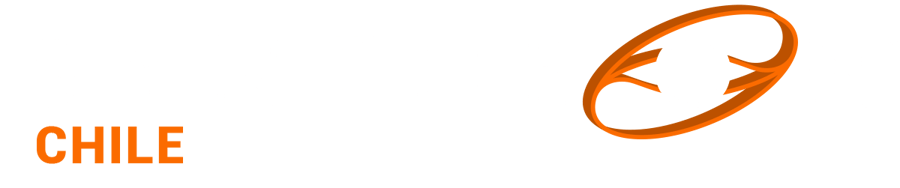 Soluciones Constructivas | Syntheon Chile